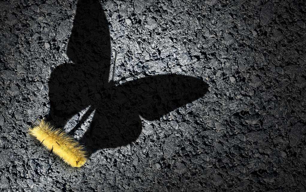 Still Struggling Maybe Effort Isn T What S Missing Given Us